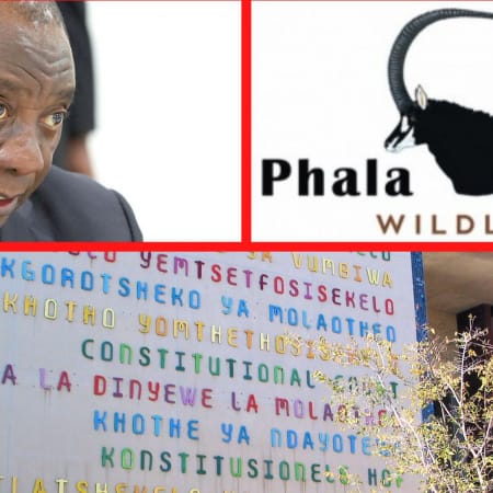 Misappropriation of resources, misuse of power – Phala Phala’s best ...
