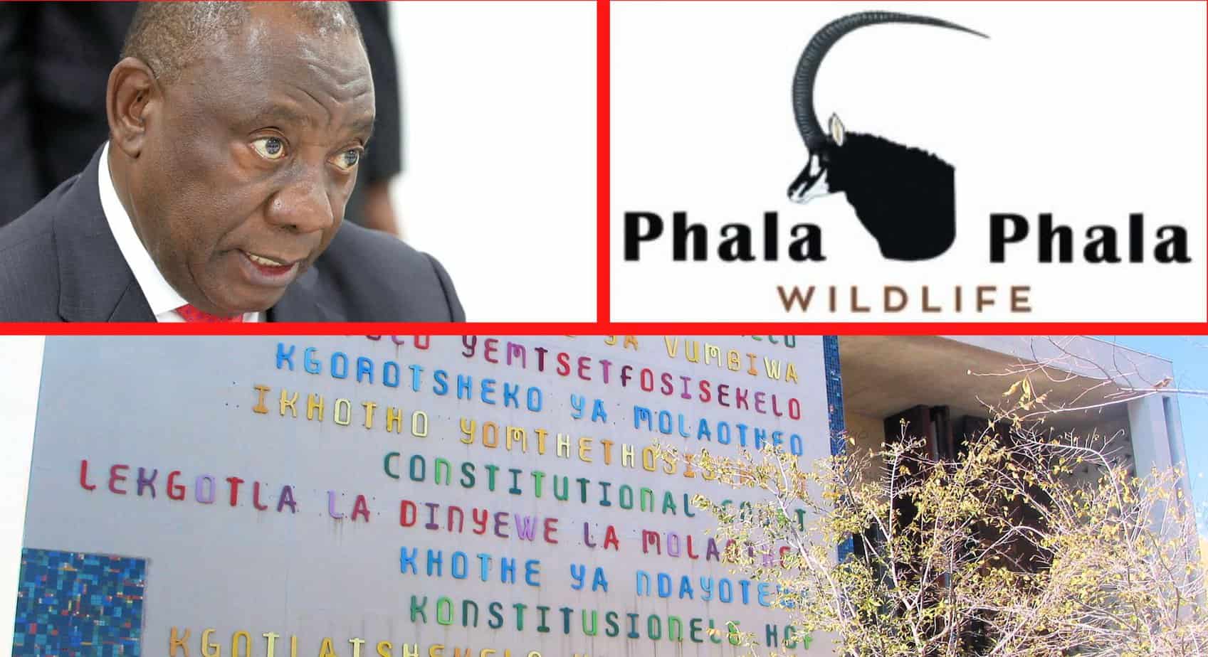 Phala Phala noise far from over, as SA awaits Concourt decision ...